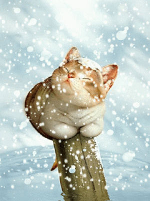 Snow cinemagraph GIF on GIFER - by Fenrihn