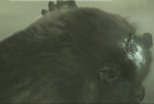 GIF shadow of the colossus - animated GIF on GIFER