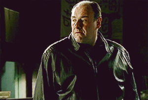 The Sopranos Animated On Er