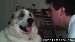 Gifle bofetada slap GIF - Find on GIFER