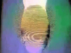 Yes chris squire steve howe GIF - Find on GIFER