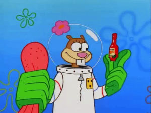 GIF spongebob squarepants season 1 episode 14 - animated GIF on GIFER