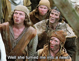 Monty python and the holy grail GIF - Find on GIFER