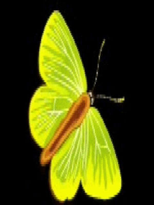 The butterfly effect GIF - Find on GIFER