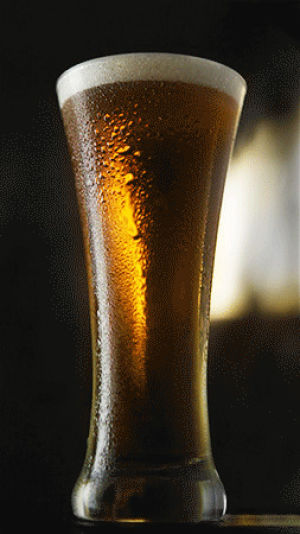 Beer cerveja bier GIF - Find on GIFER