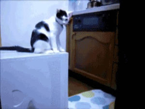 These are for you GIF - Find on GIFER