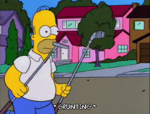 Homer simpson episode 16 GIF - Find on GIFER