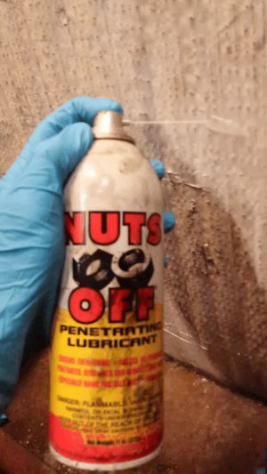 Nuts deez nuts joke GIF - Find on GIFER