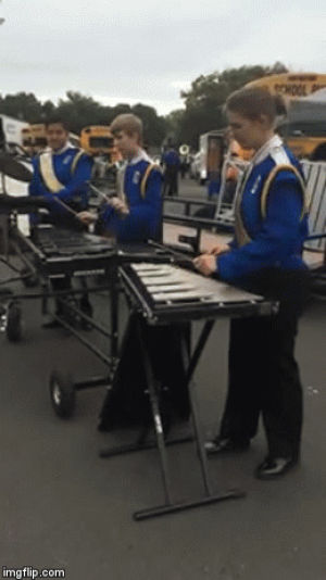 GIF xylophone petsour - animated GIF on GIFER