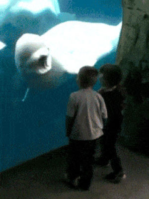 U wot m8 GIF - Find on GIFER