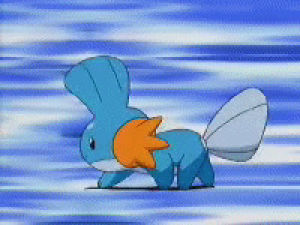 Mudkip GIF - Find on GIFER