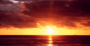 GIF roll tide - animated GIF on GIFER