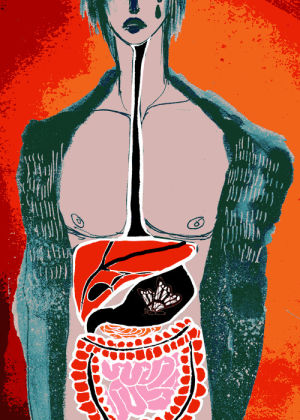 GIF stomach - animated GIF on GIFER