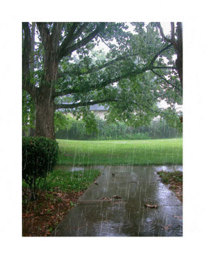 GIF rainy day - animated GIF on GIFER