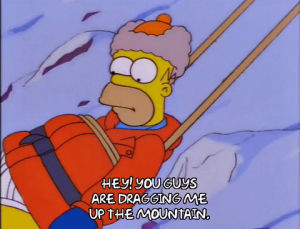 Homer simpson season 9 episode 23 GIF - Find on GIFER