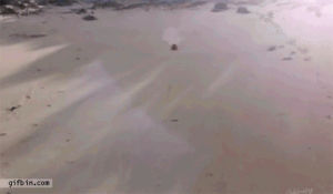 Splash GIF - Find on GIFER