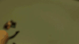 Raspberry GIF on GIFER - by Nekazahn