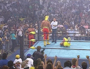 Wcw hulk hogan nwo GIF - Find on GIFER