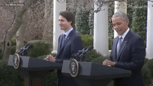 GIF justin trudeau - animated GIF on GIFER