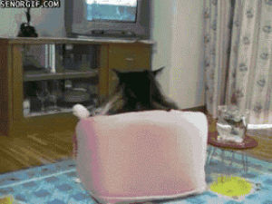 Watching movie popcorn GIF on GIFER - by Kazibei