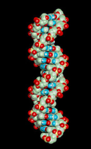 GIF adn dna - animated GIF on GIFER