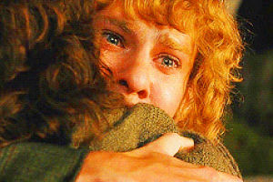 Sam the lord of the rings frodo GIF - Find on GIFER