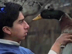 Biting GIF - Find on GIFER