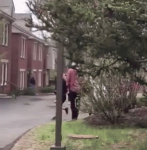 Kentucky derby horse racing GIF on GIFER - by Te