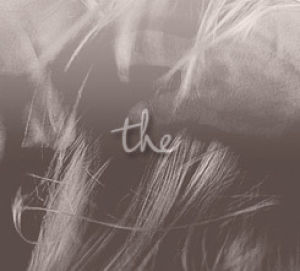 GIF hugging tv - animated GIF on GIFER