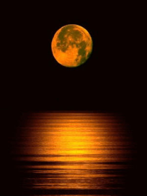 GIF full moon - animated GIF on GIFER