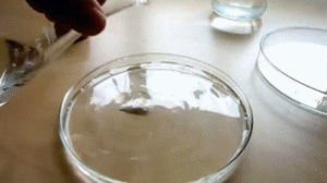 Crystallization GIF - Find on GIFER