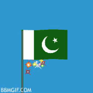 Pakistan Flag Waving Animated