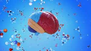 Ask the storybots brain GIF - Find on GIFER