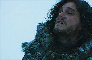 Winter is coming GIF - Find on GIFER