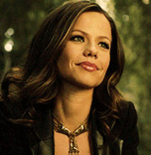 Pll GIF on GIFER - by Bralanim