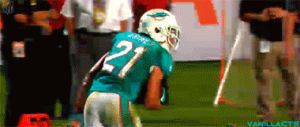 GIF miami dolphins - animated GIF on GIFER