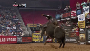 Pbr bull riding GIF - Find on GIFER