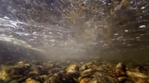 Gopro GIF - Find on GIFER