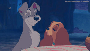 Lady and the tramp GIF - Find on GIFER
