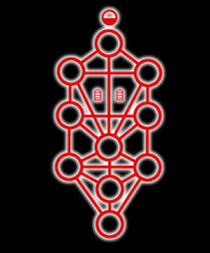 GIF the tree of life - animated GIF on GIFER
