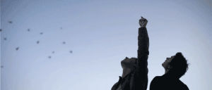 GIF pale - animated GIF on GIFER