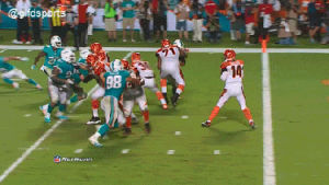 GIF miami dolphins - animated GIF on GIFER