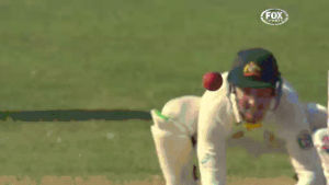 Cricket player catches GIF - Find on GIFER