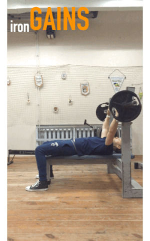 Bench GIF - Find on GIFER