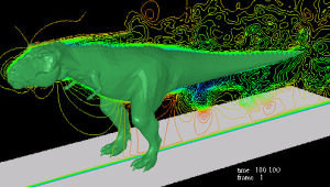 Cfd simulation fluid dynamics GIF on GIFER - by Mulas