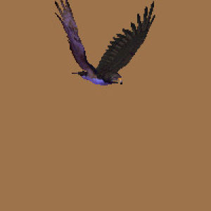 GIF bird transparent - animated GIF on GIFER