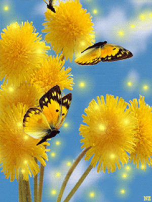 Yellow GIF - Find on GIFER