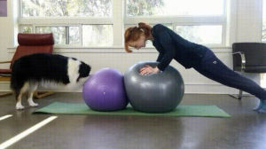 Ball yoga mighty GIF - Find on GIFER