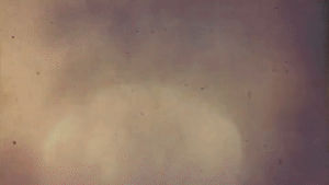 GIF extreme spots spongebob squarepants episode 1 - animated GIF on GIFER