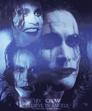 Гифка ворона cuervo гиф картинка, скачать анимированный gif на GIFER